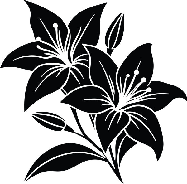 Beautiful Lily Flower Blossom Lilies Garden Plant Outdoor Nature Vinyl ...