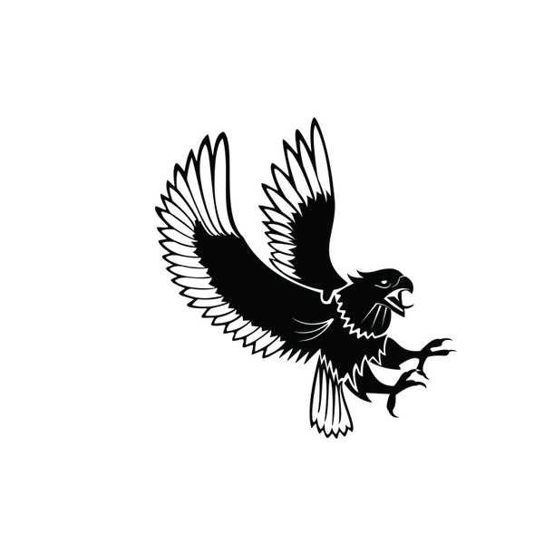Eagle Flying In Detailed Wings Bird Animal Vinyl Decal Sticker – Decals Hut