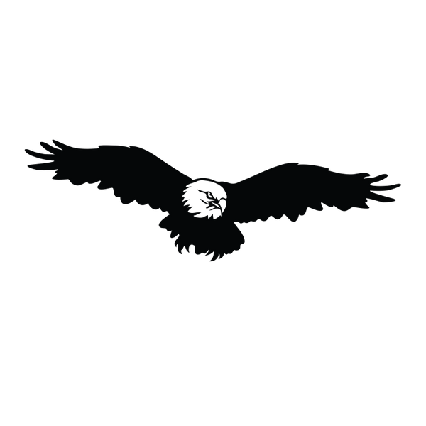 Wide Wing Eagle Soaring Bird American Animal Nature Vinyl Decal Sticke ...