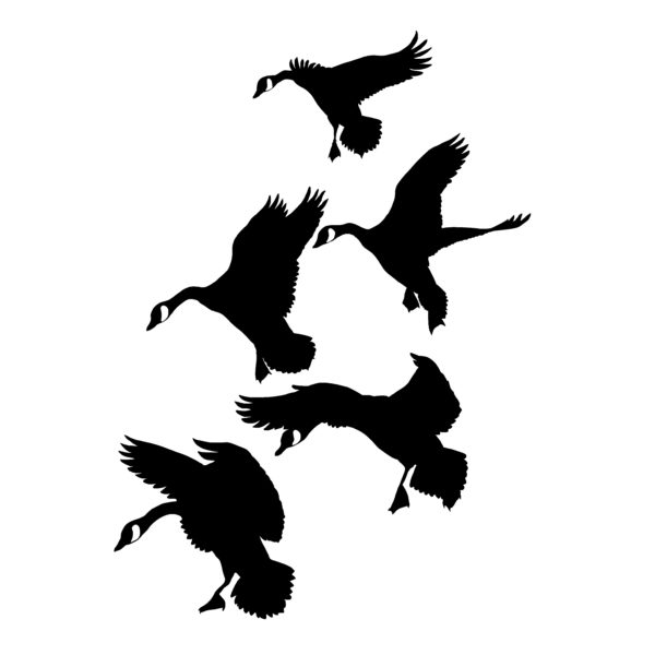 Landing in the Spread Goose Bird Hunting Decal Waterfowl Sticker ...