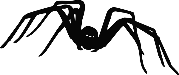 SPIDER Vinyl Decal Sticker Car Window Wall Bumper Creepy Halloween Hom ...